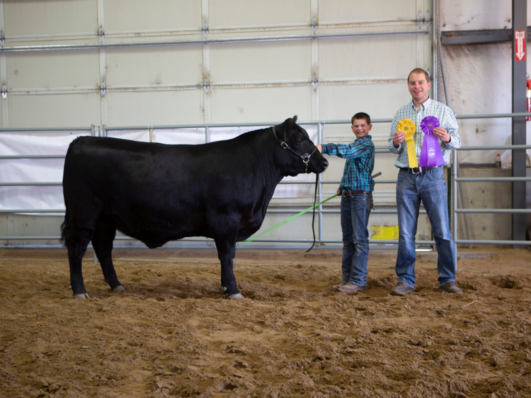 Horseshoe Angus Ranch | Angus Cattle for Sale in Washington