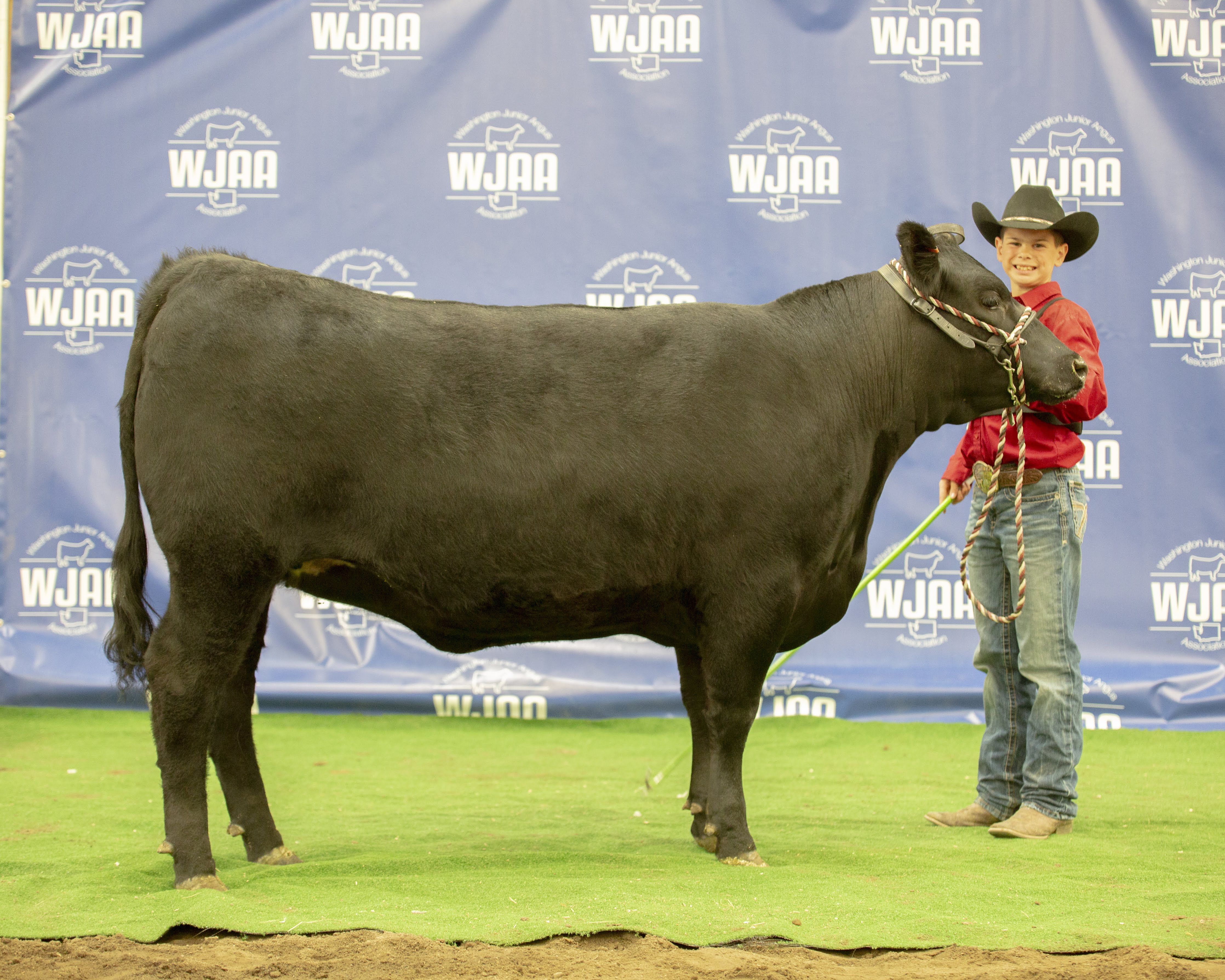 2019JrAngusPreview-58 | Horseshoe Angus Ranch