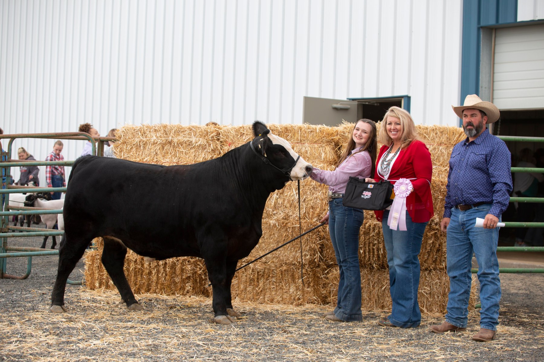 Horseshoe Angus Ranch | Angus Cattle for Sale in Washington