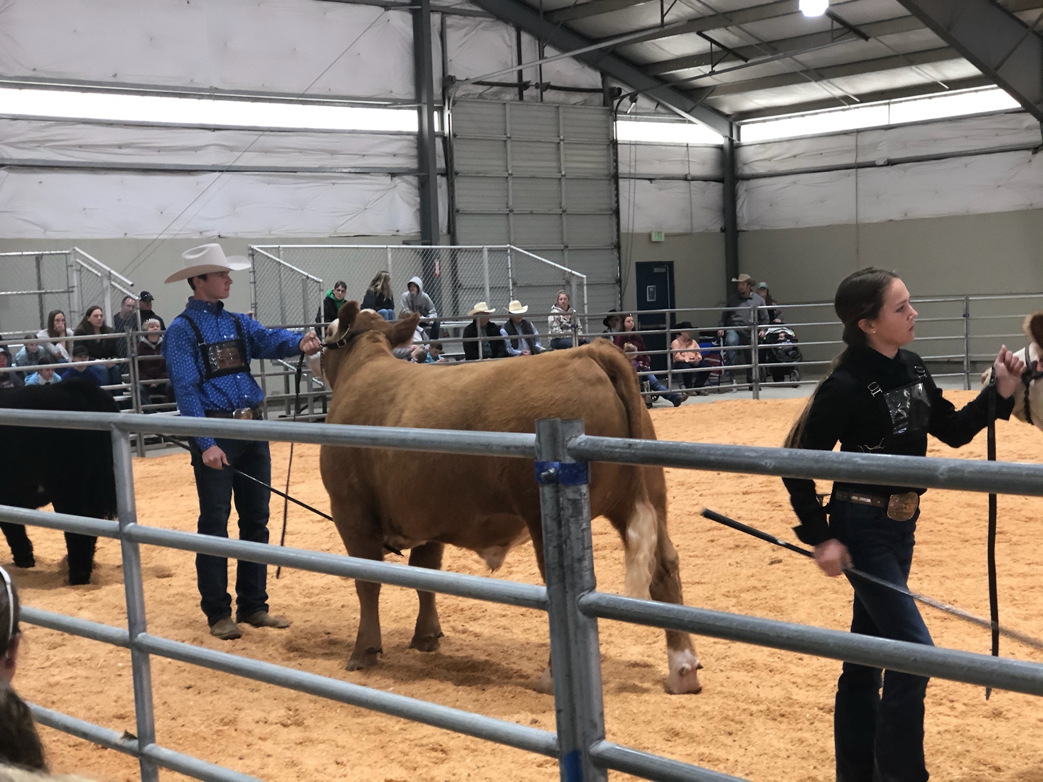 wp-1651863730674 | Horseshoe Angus Ranch