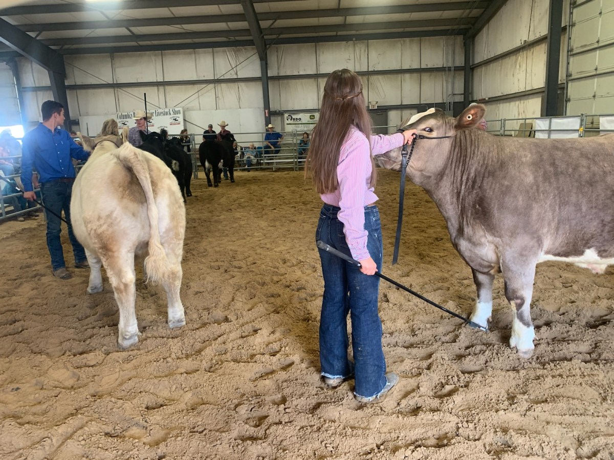 Great day today at CBJLS. Kade, Natalie, Kaine and Anna all made it to ...