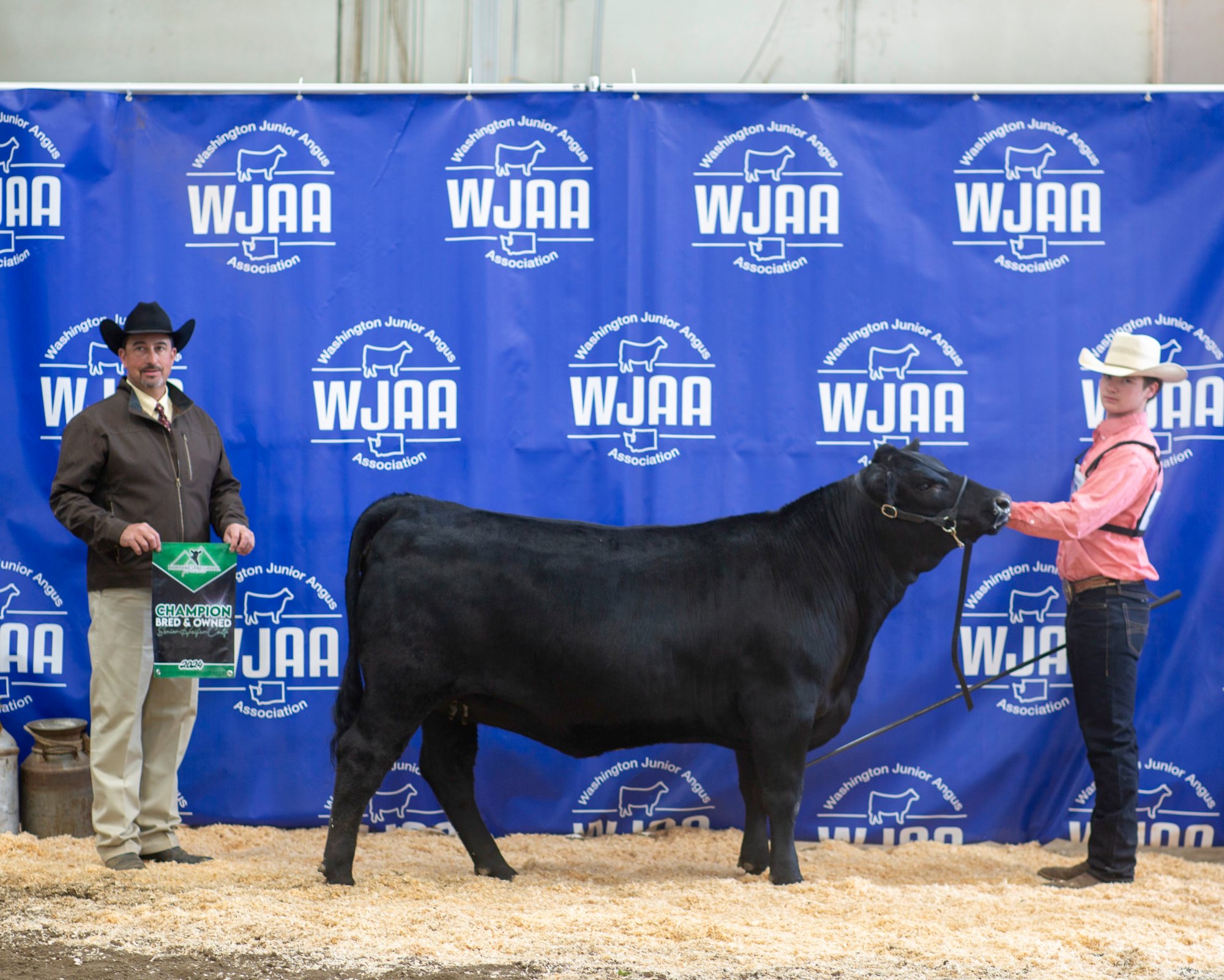 Horseshoe Angus Ranch | Angus Cattle for Sale in Washington