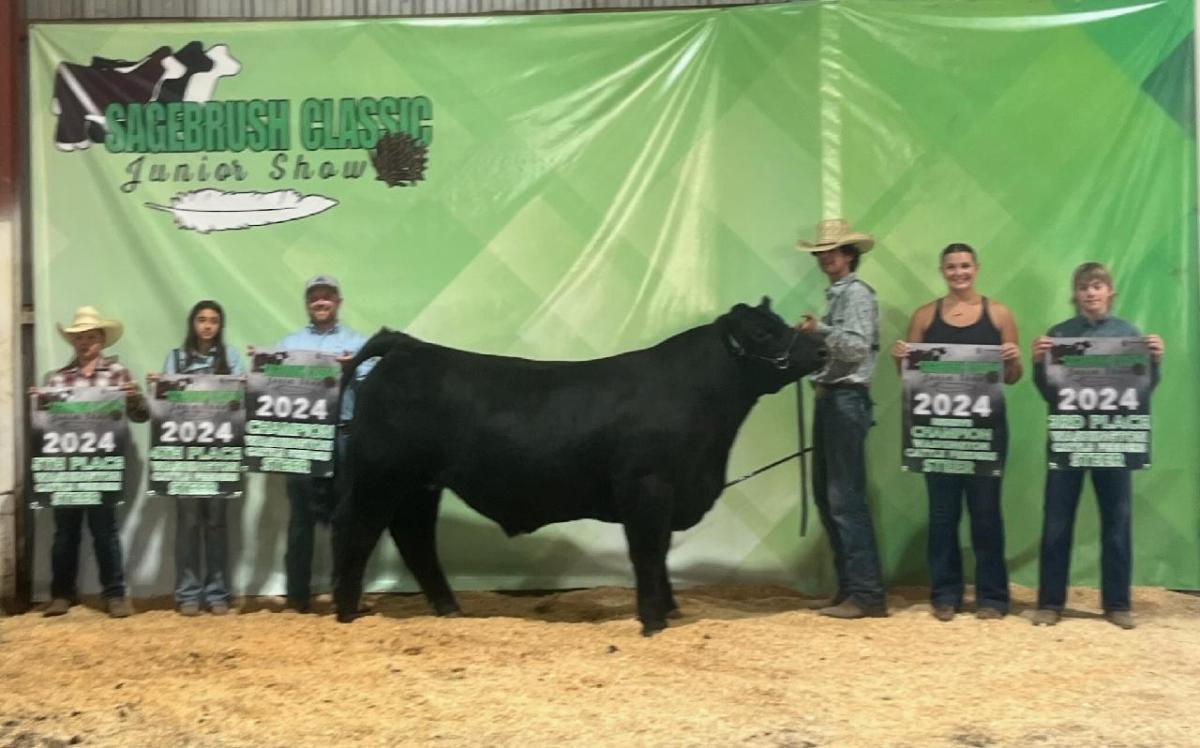 Great show today. Kade had grand champion Simmental and grand champion ...