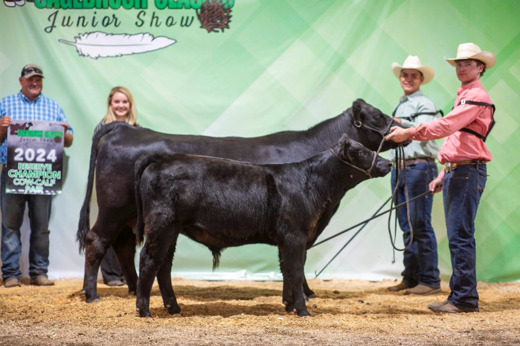 Horseshoe Angus Ranch | Angus Cattle for Sale in Washington