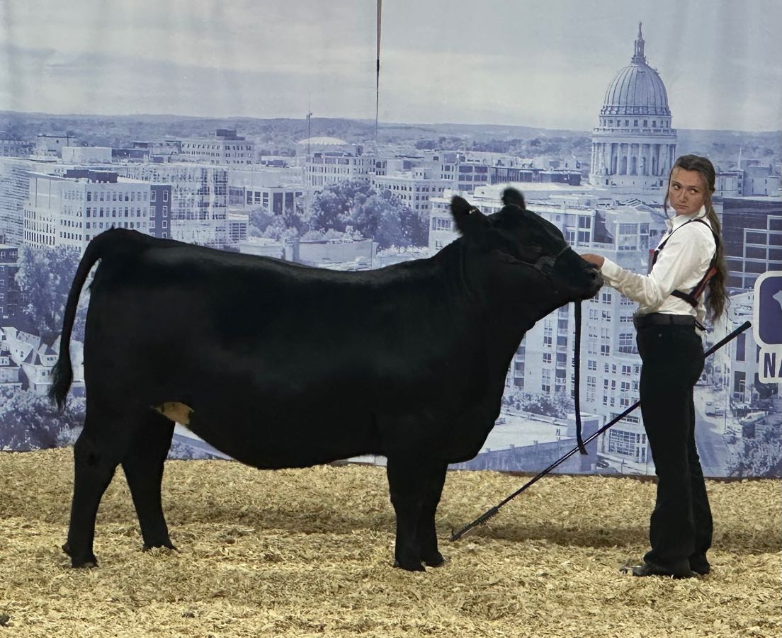 Finally done with the 2024 Angus Jr Nationals pictures | Horseshoe ...