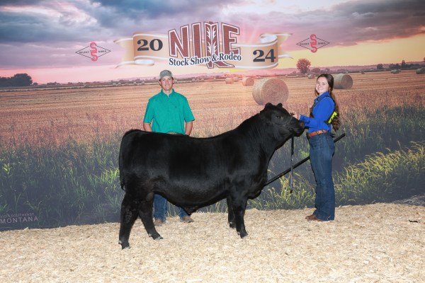 Great low birth weight bull by Sitz TLS Dynamite 299G | Horseshoe Angus ...