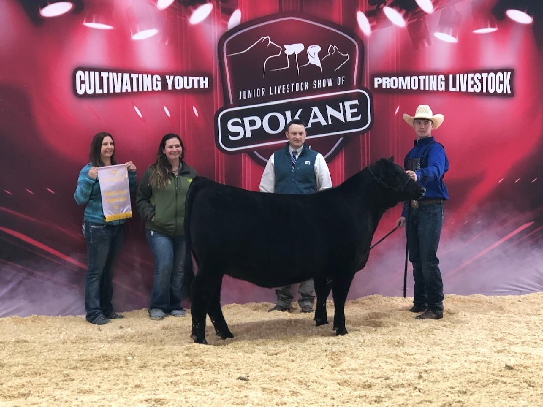 Heifers done. Kaine was Reserve Champion and Kade 5th overall 4H heifer ...